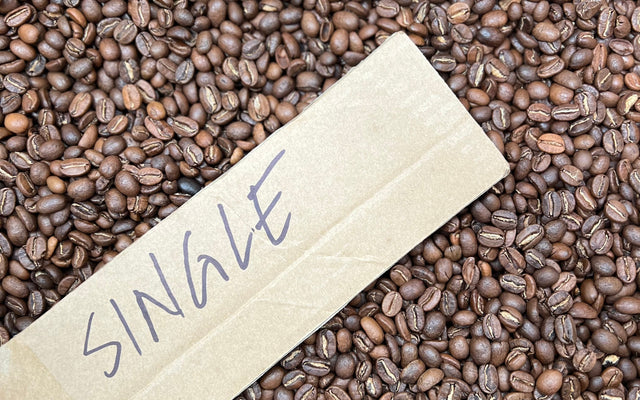 Hello, My name is Riley – Riley Coffee